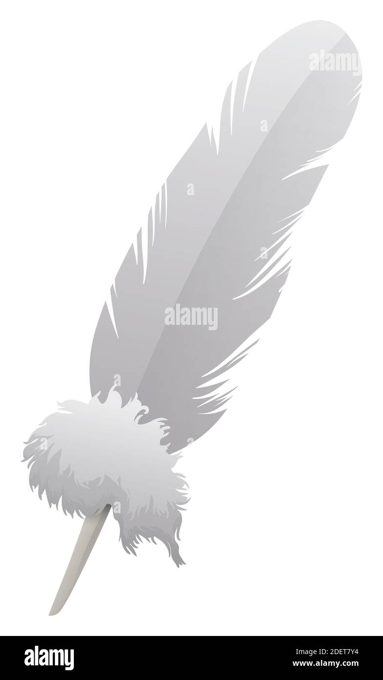 White fluffy feather for a quill pen, isolated over white background ...