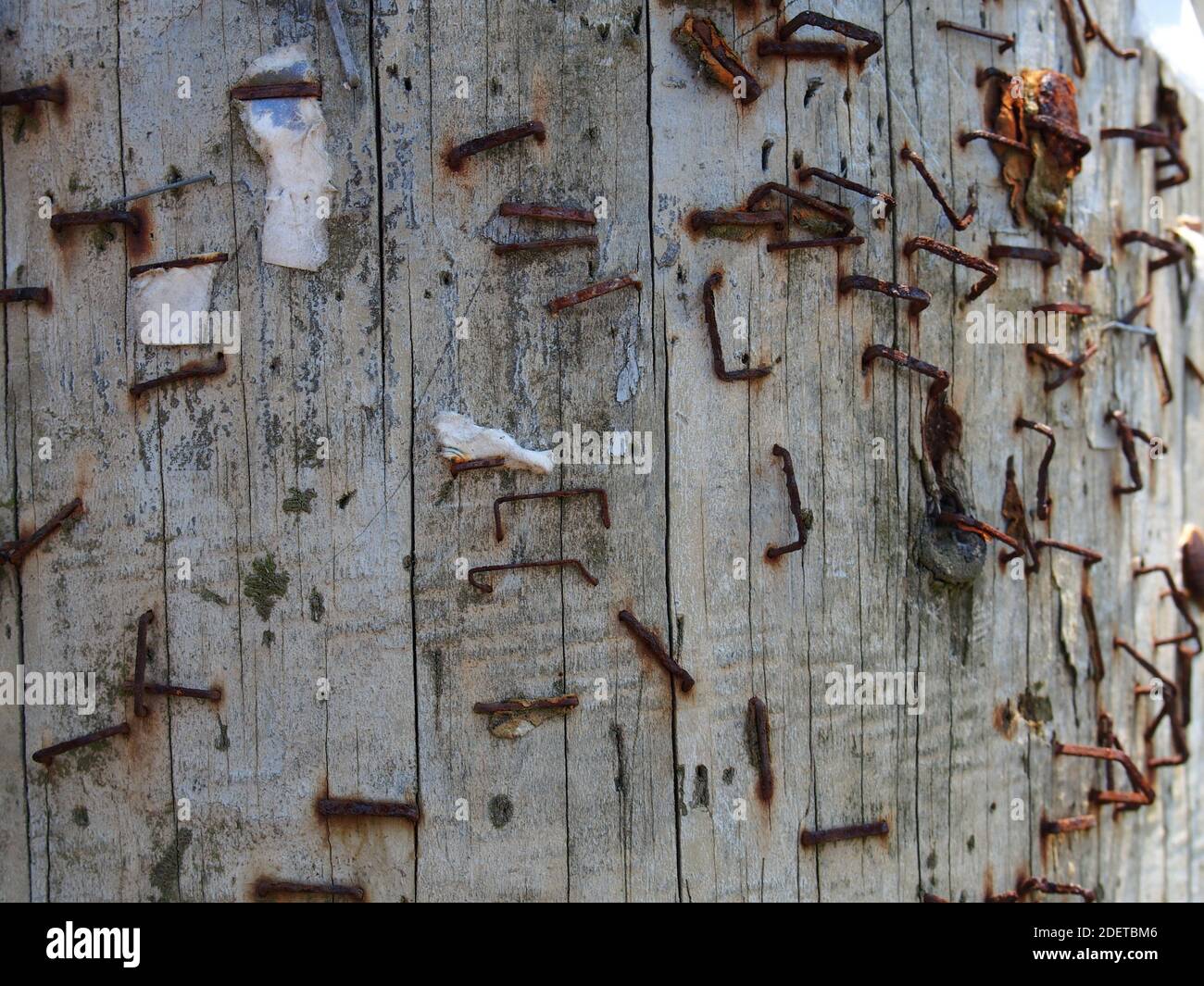 Wooden utility pole hi-res stock photography and images - Alamy