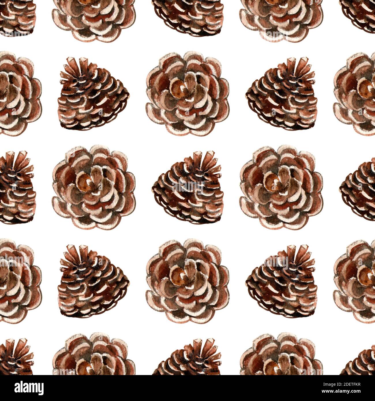 Winter watercolor seamless pattern with fir cones. Hand-drawn Christmas ...