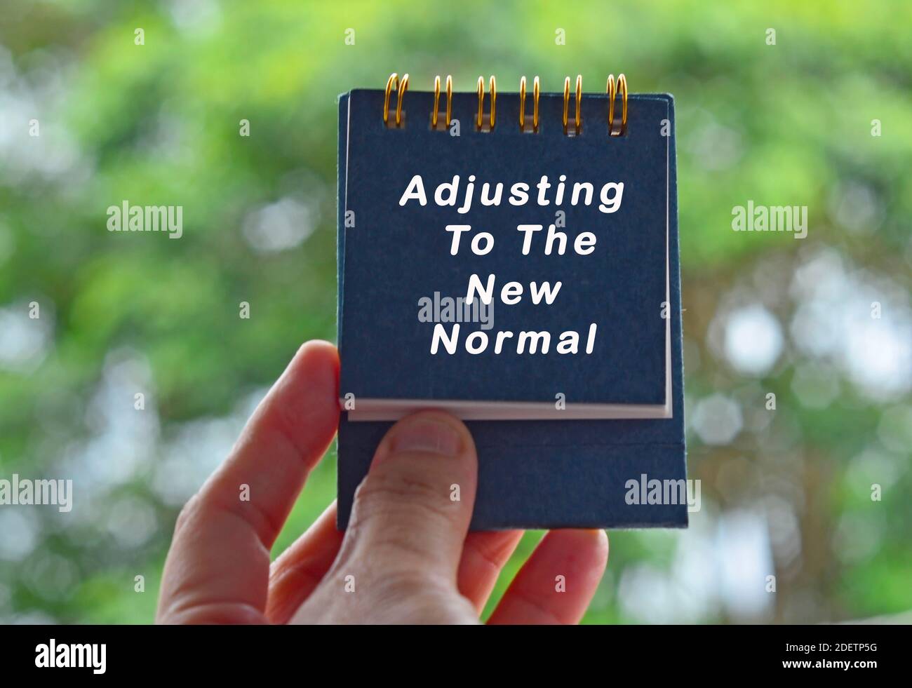 Hands Holding A Dark Notepad With Text Written And Blurred Green ...