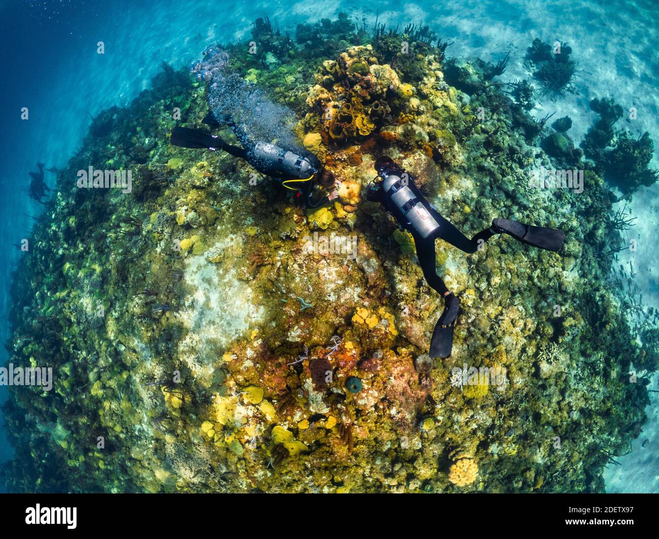 Exumas islands hi-res stock photography and images - Alamy