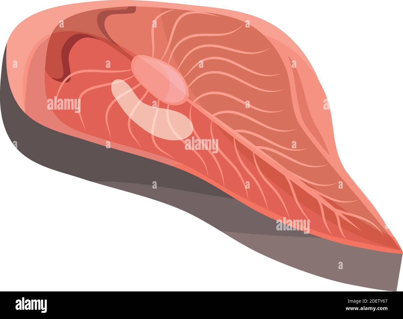 delicious fresh salmon cut icon Stock Vector Image & Art - Alamy
