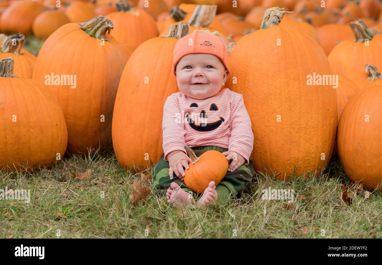 Pumpkin hay ride hi-res stock photography and images - Alamy