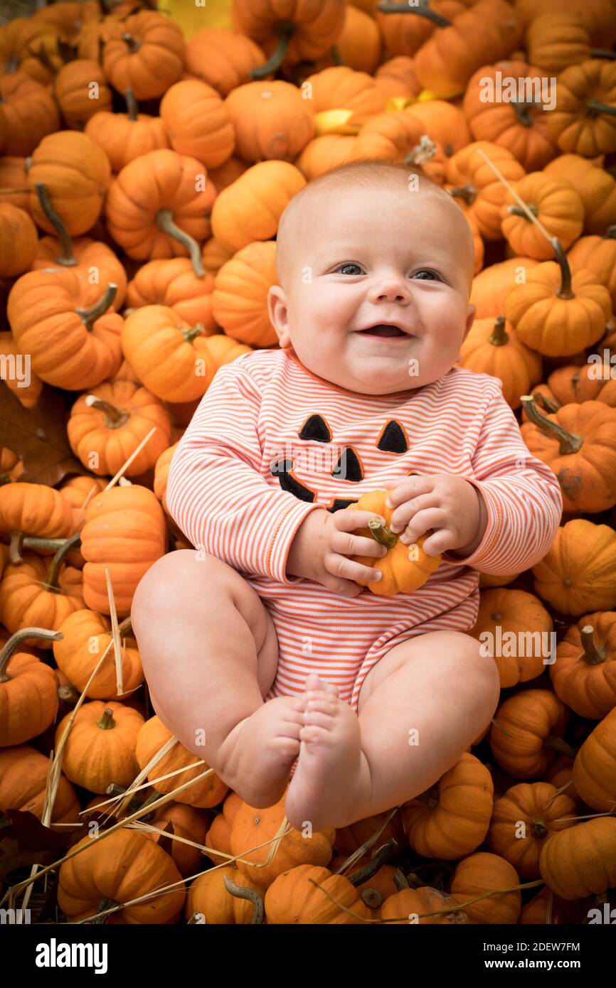 Baby Boy With Pumpkins Portrait Stock Photo - Alamy