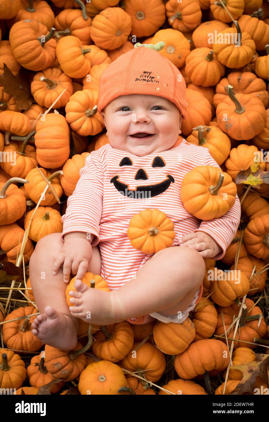 Pumpkin hay ride hi-res stock photography and images - Alamy