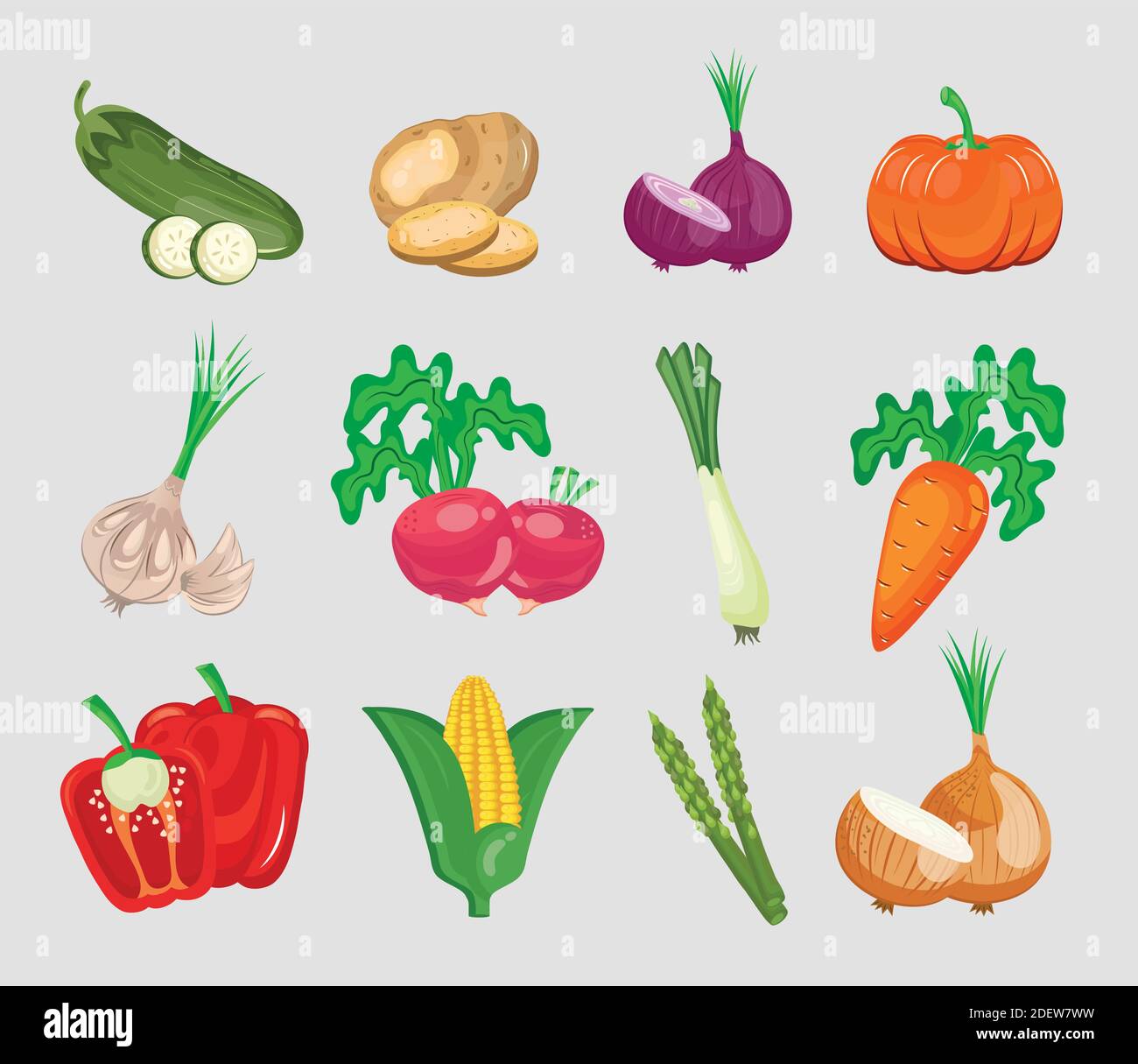 bundle of twelve vegetables set in white background Stock Vector Image ...