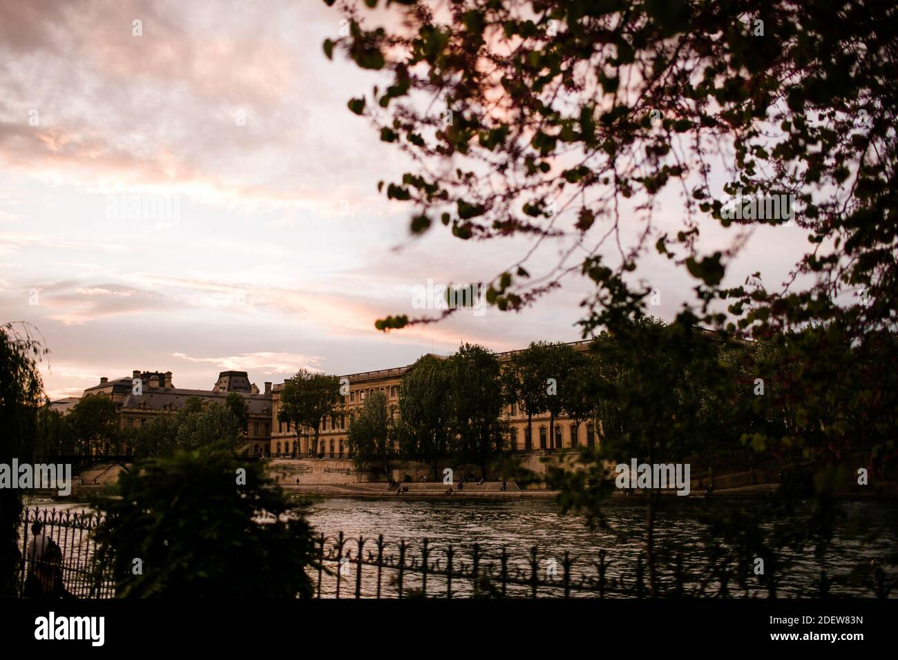 Sunset View Through Trees of Sienne River in Paris Stock Photo - Alamy