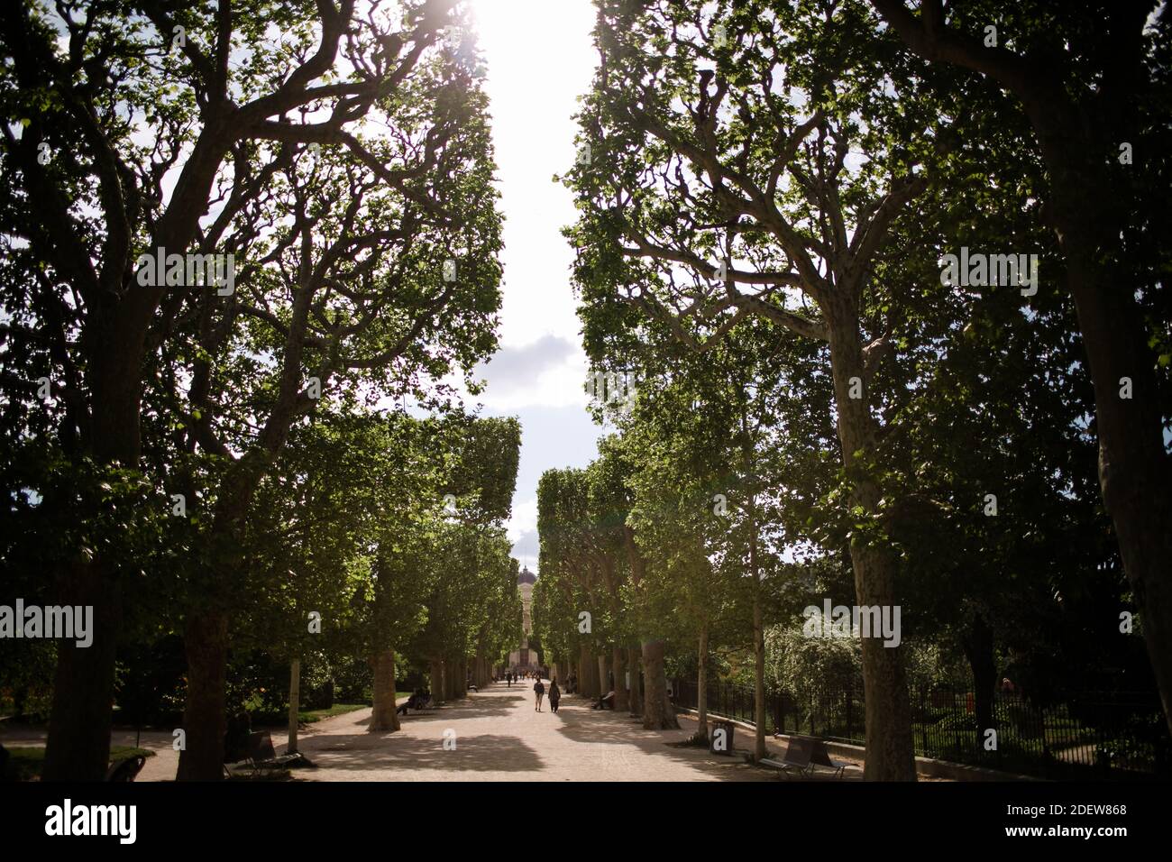 Wide View of Path & Trees at Parc Zoologique de Paris in Paris Stock ...