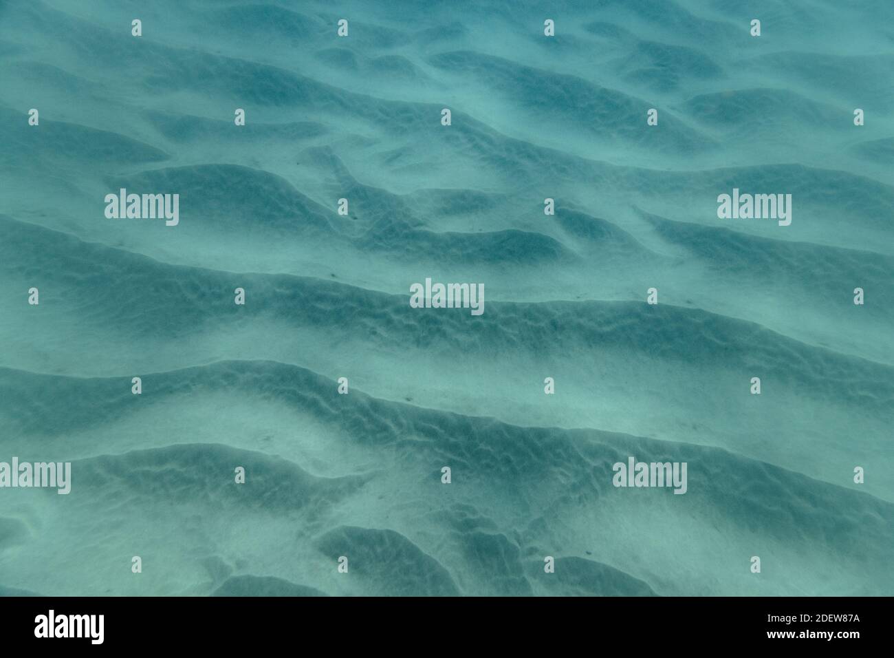 Sandy ocean floor hi-res stock photography and images - Alamy