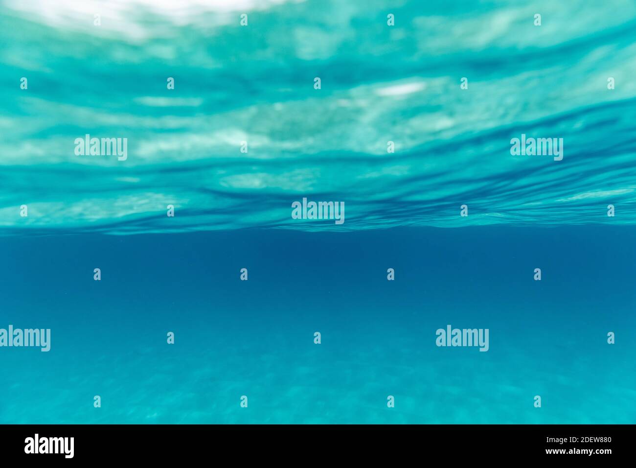 Underneath the surface of the teal ocean of oahu, hawaii Stock Photo ...