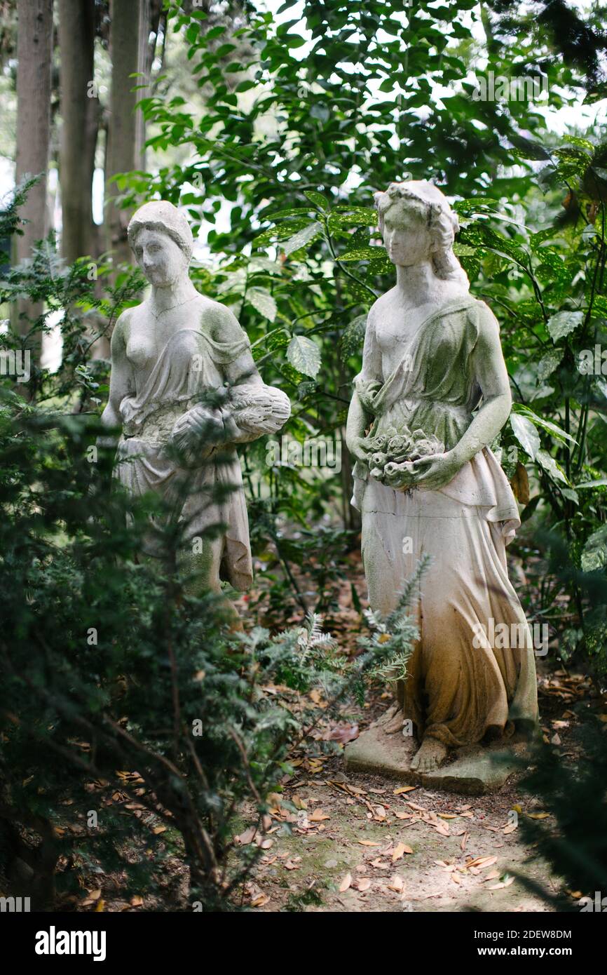Women come from venus hi-res stock photography and images - Alamy
