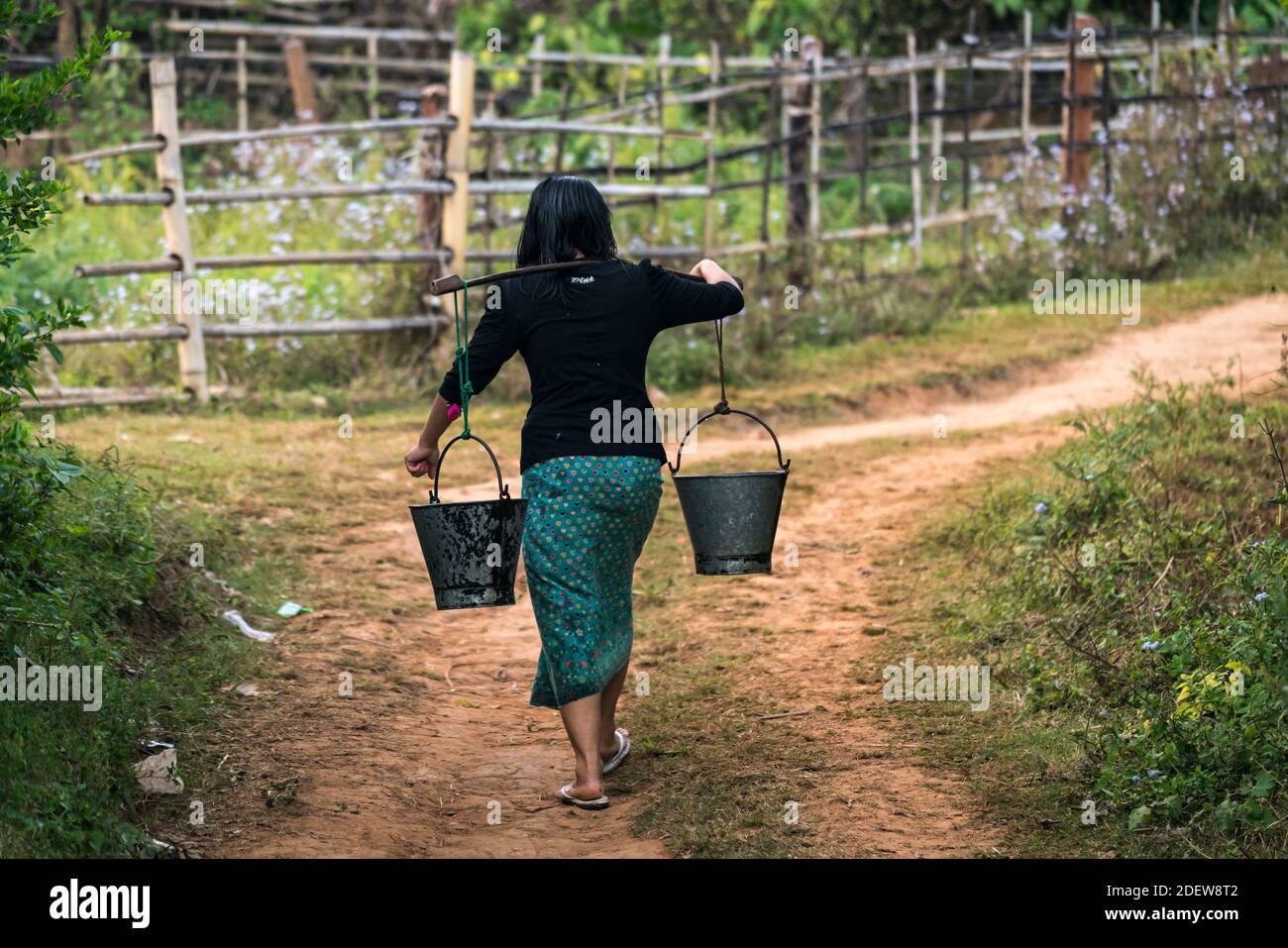 Woman carrying buckets of water using bamboo stick in Palong village ...