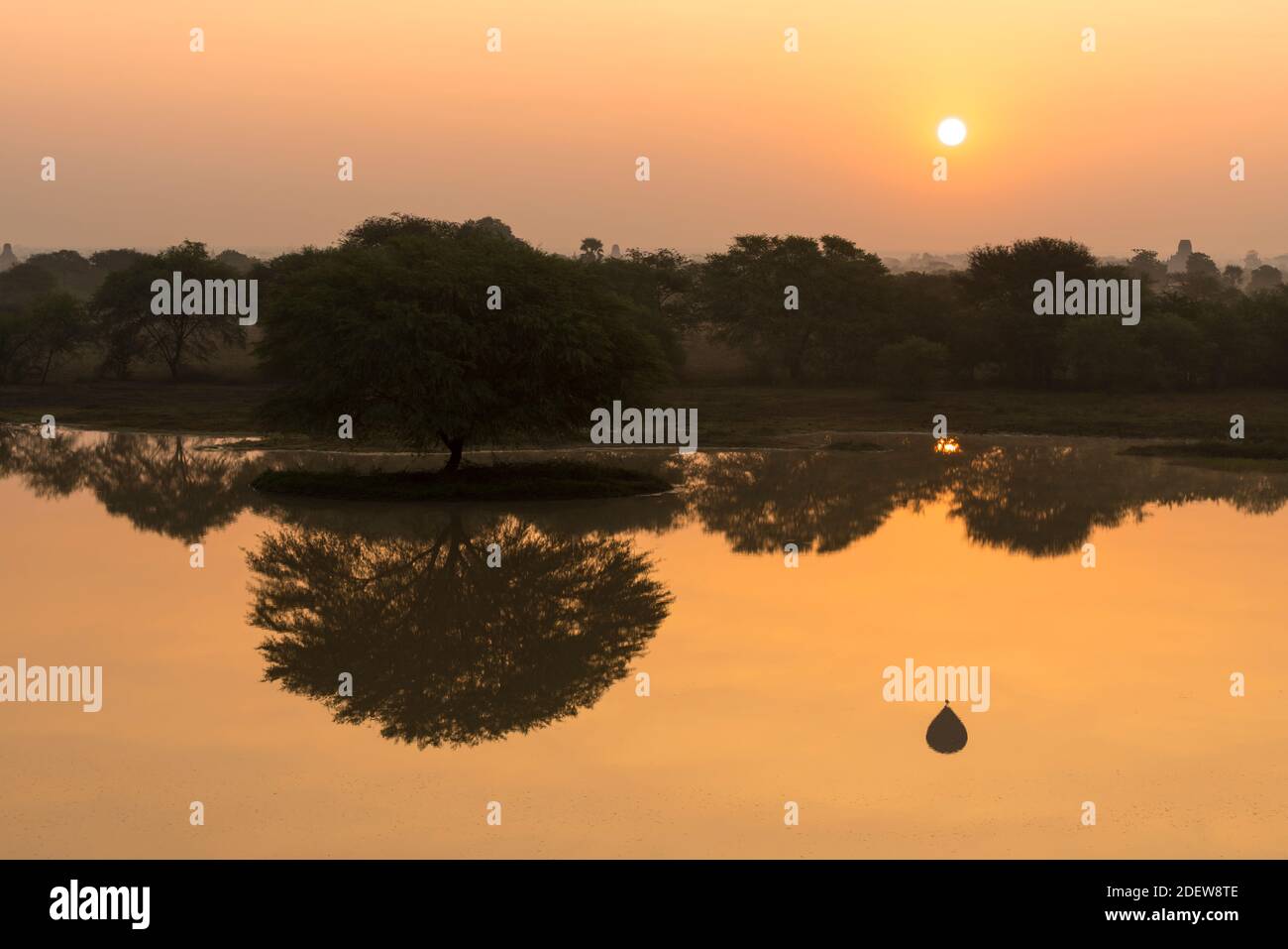 Tree reflecting in small lake and hot air balloon at sunrise, Bagan ...