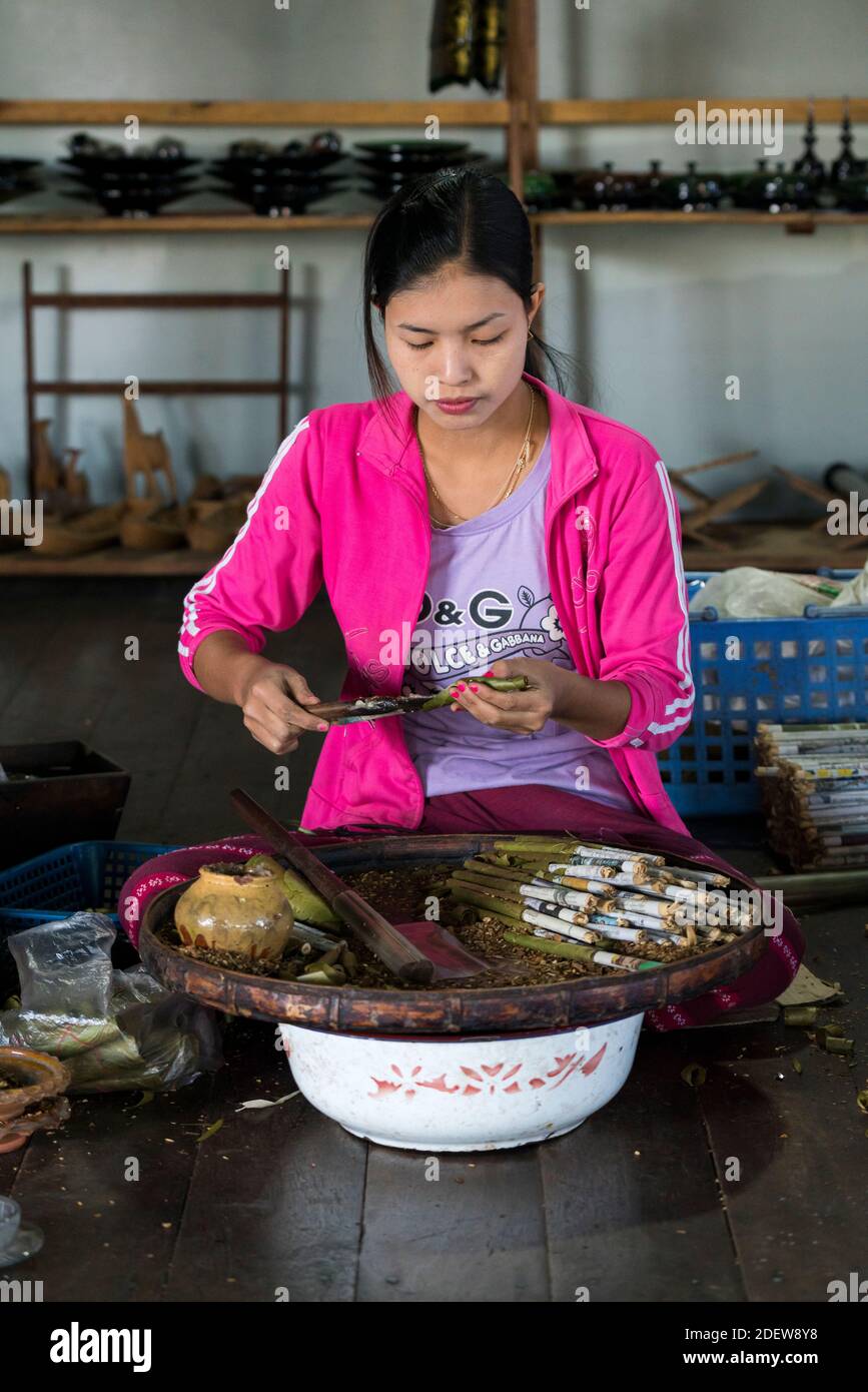 Young Burmese woman making Burmese cigars at cheroot cigar making ...
