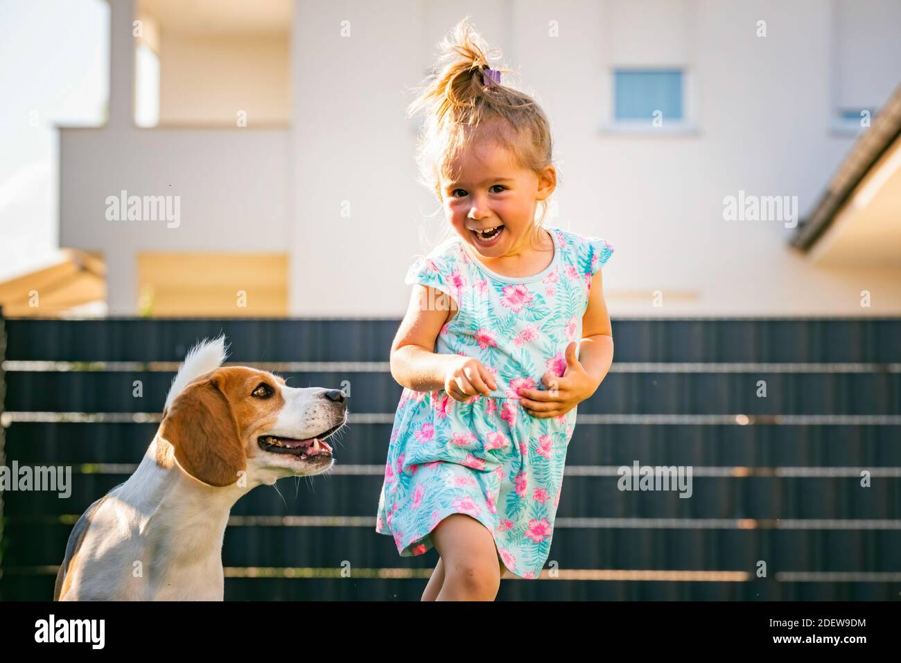 Child running after dog hi-res stock photography and images - Alamy