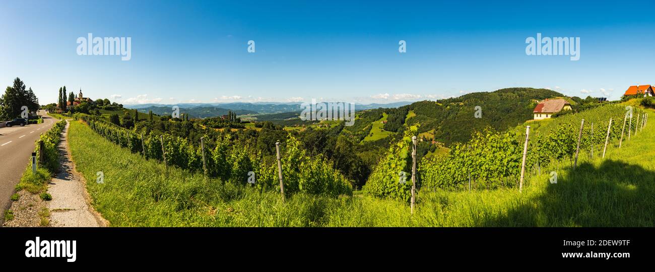 Vineyard on Austrian countryside with a church in the background ...