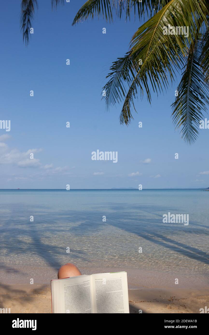 someone reading book at the beach Stock Photo - Alamy