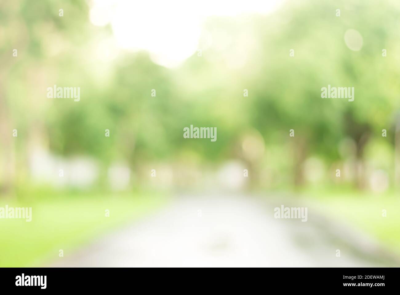 Abstract green bokeh background from trees in the park Stock Photo - Alamy