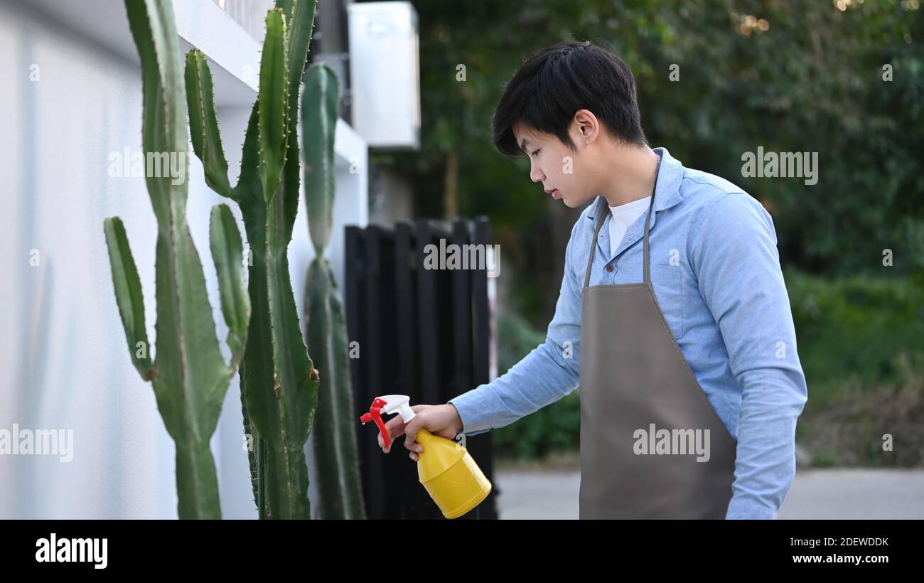 A man spraying insecticide from a spray bottle to cactus at home Stock ...
