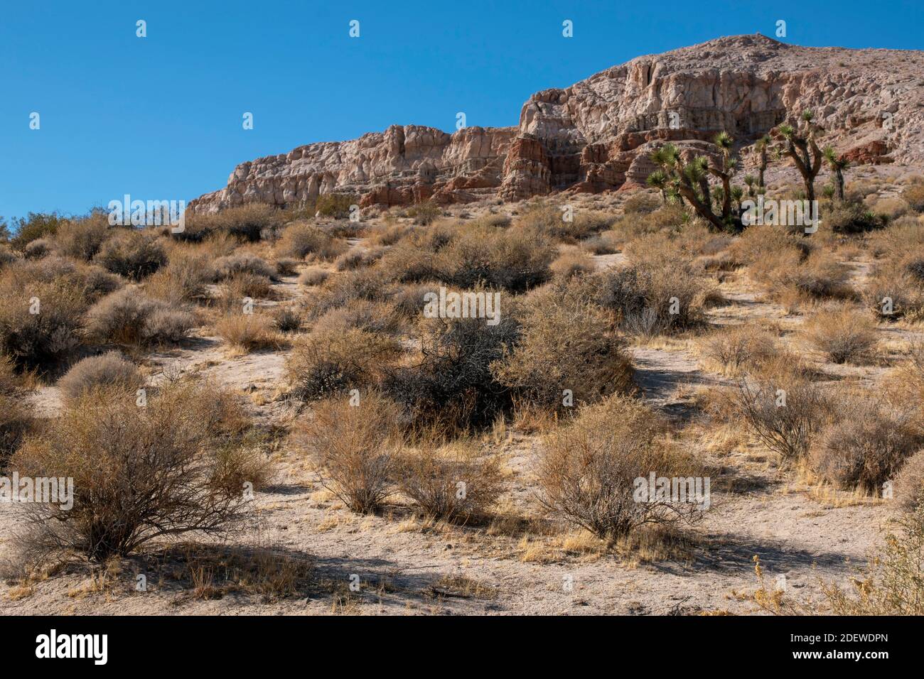 Red Rock Canyon State Park is a small state park in Kern County, CA ...