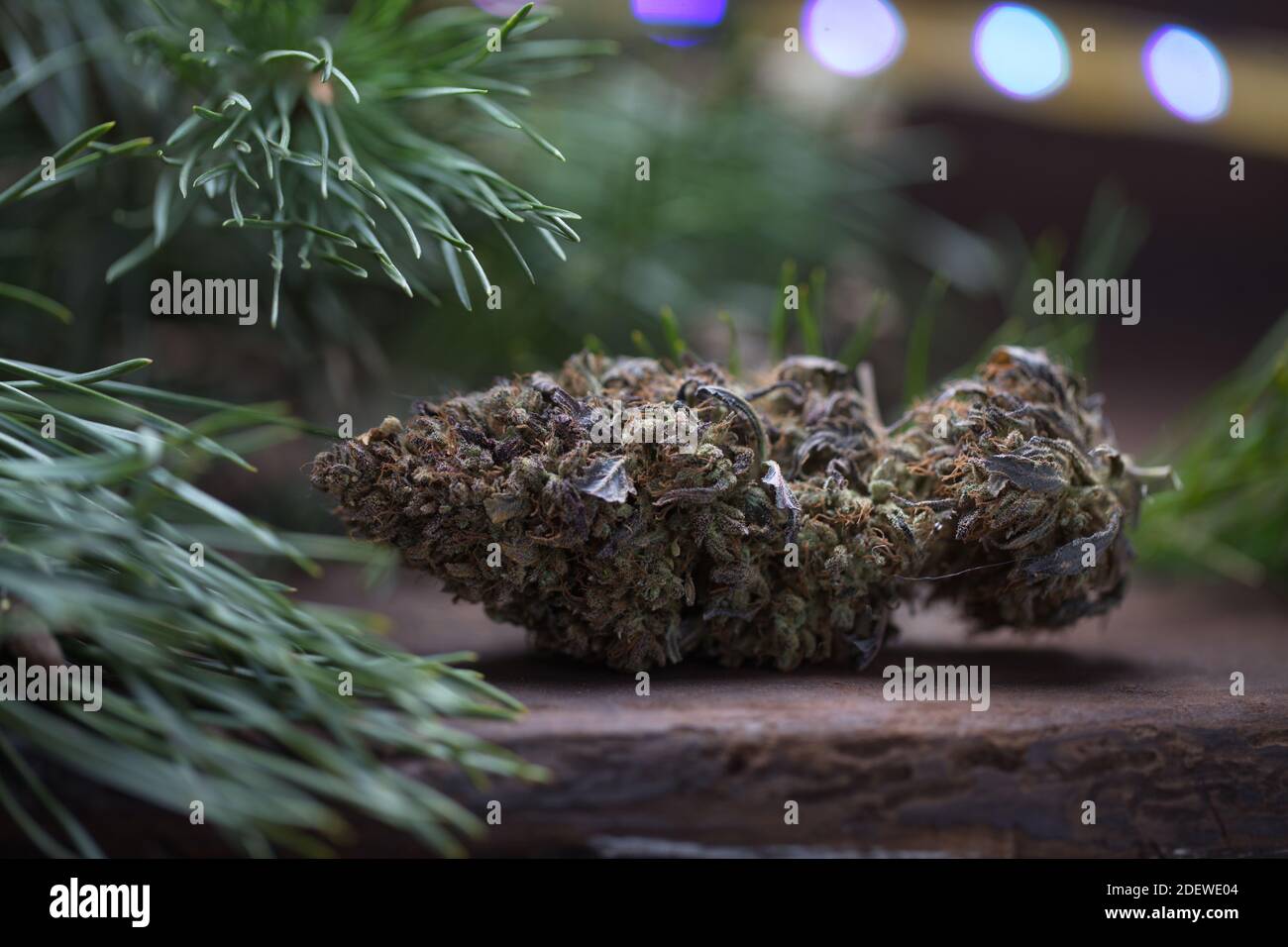 big cannabis cone christmas decoration. marijuana close up. hemp buds ...