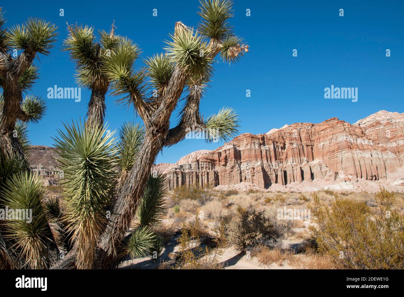 Red Rock Canyon State Park is a small state park in Kern County, CA ...