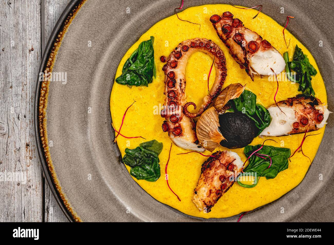 Octopus with Turmeric Puree Stock Photo - Alamy