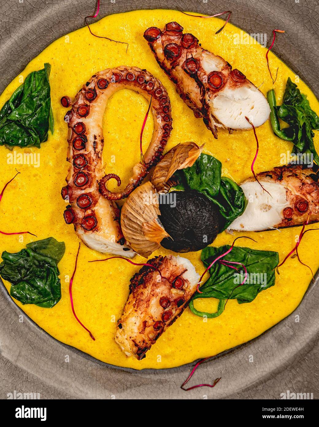 Tentacles Octopus High Resolution Stock Photography and Images - Alamy