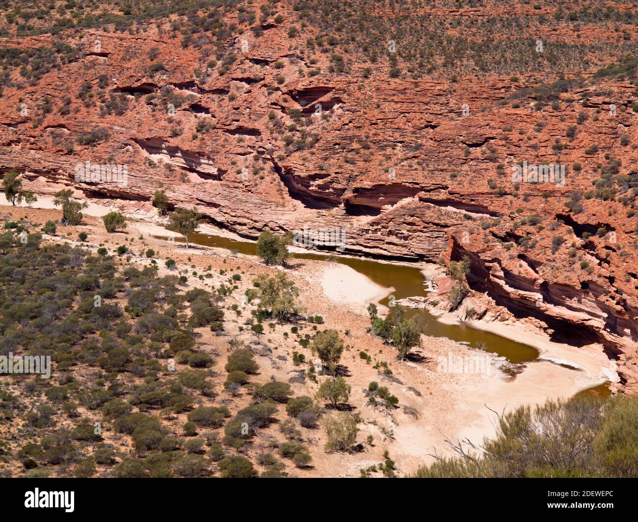 Stagnant pools of the Murchison River in gorge country near The Loop ...