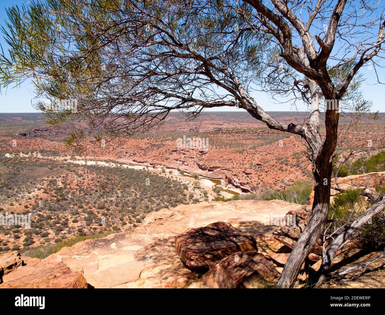 Stagnant pools of the Murchison River in gorge country from The Loop ...