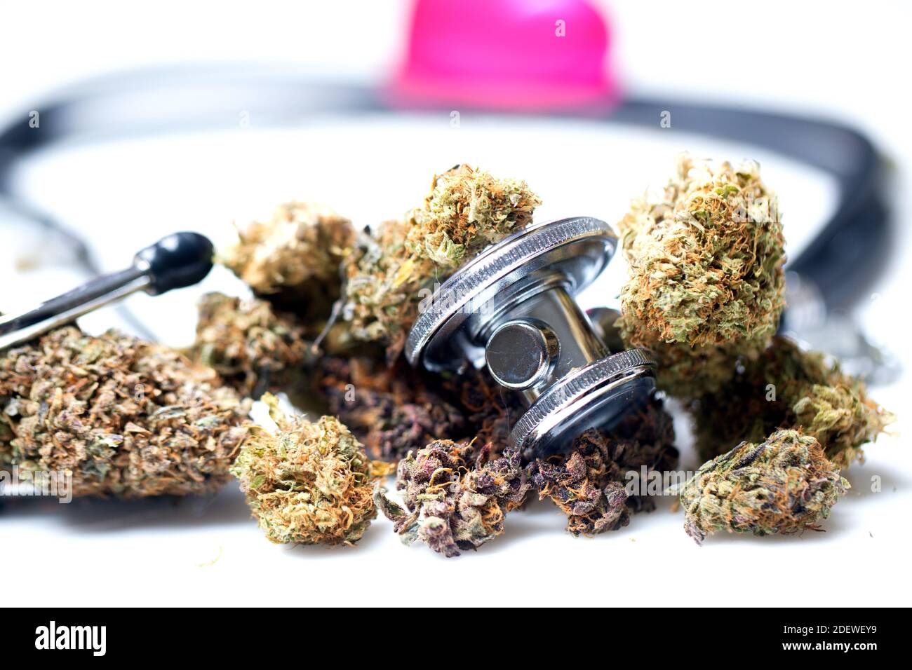 medical marijuana cannabis cbd . hemp buds . medicine concept Stock ...