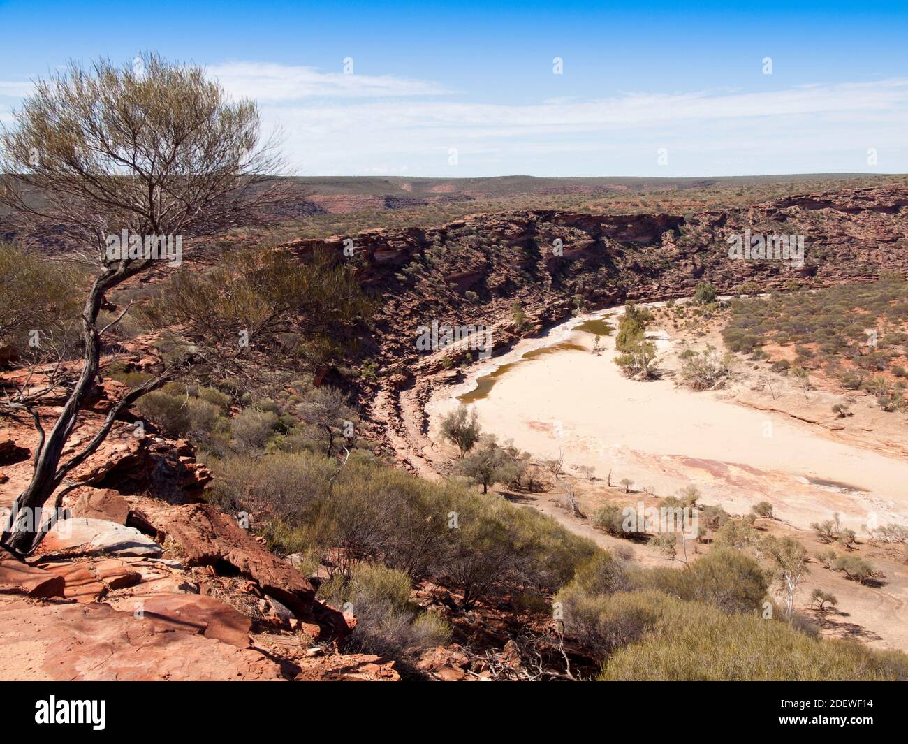 Sheoak and spinifex flank the stagnant pools of the Murchison River in ...