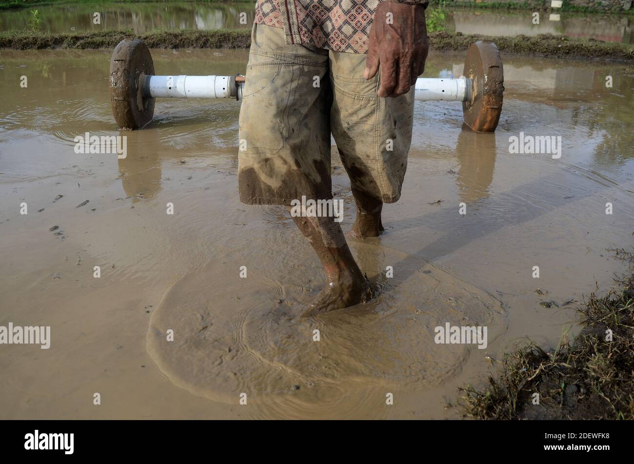 Parepare, Indonesia. 01st Dec, 2020. Farmers using the modern "Pabubu ...