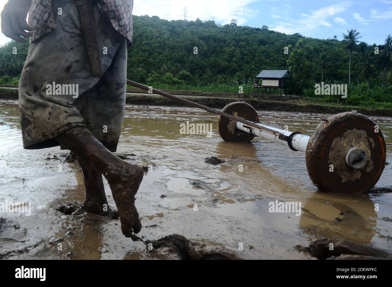 Parepare, Indonesia. 01st Dec, 2020. Farmers using the modern "Pabubu ...