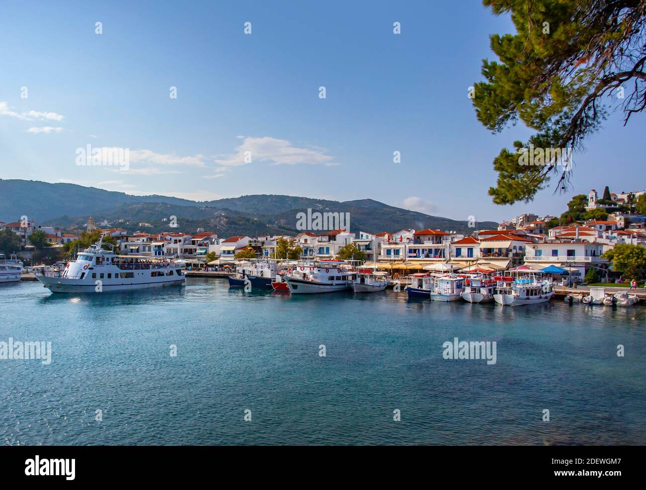 The harbour in Skiathos Town in Skiathos, in Greece, Europe Stock Photo ...