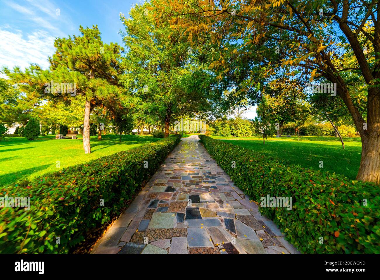 Flowerbeds, Grass Pathway and Ornamental Vase in a Formal Garden Stock ...