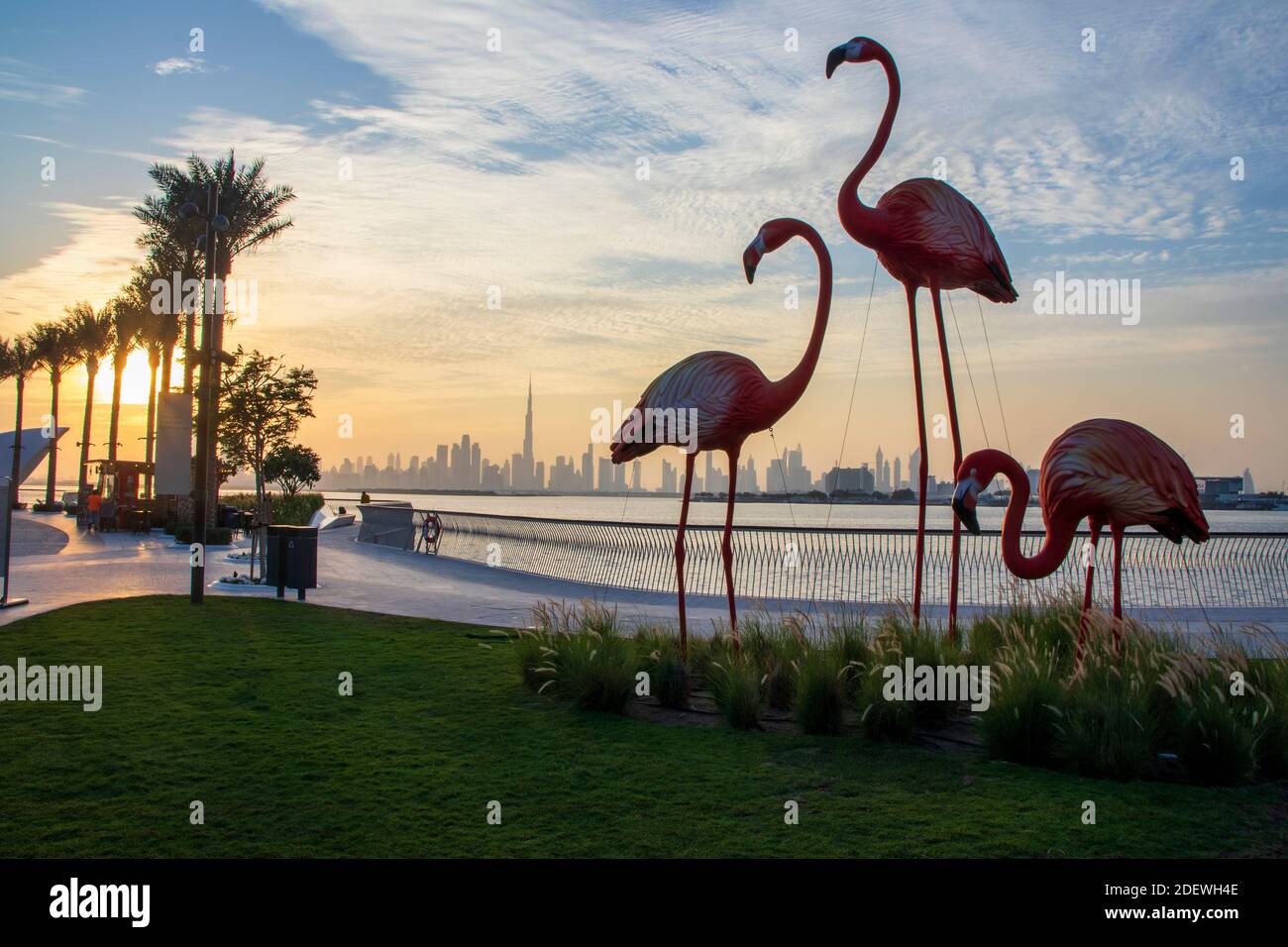 Dubai creek flamingo hi-res stock photography and images - Alamy