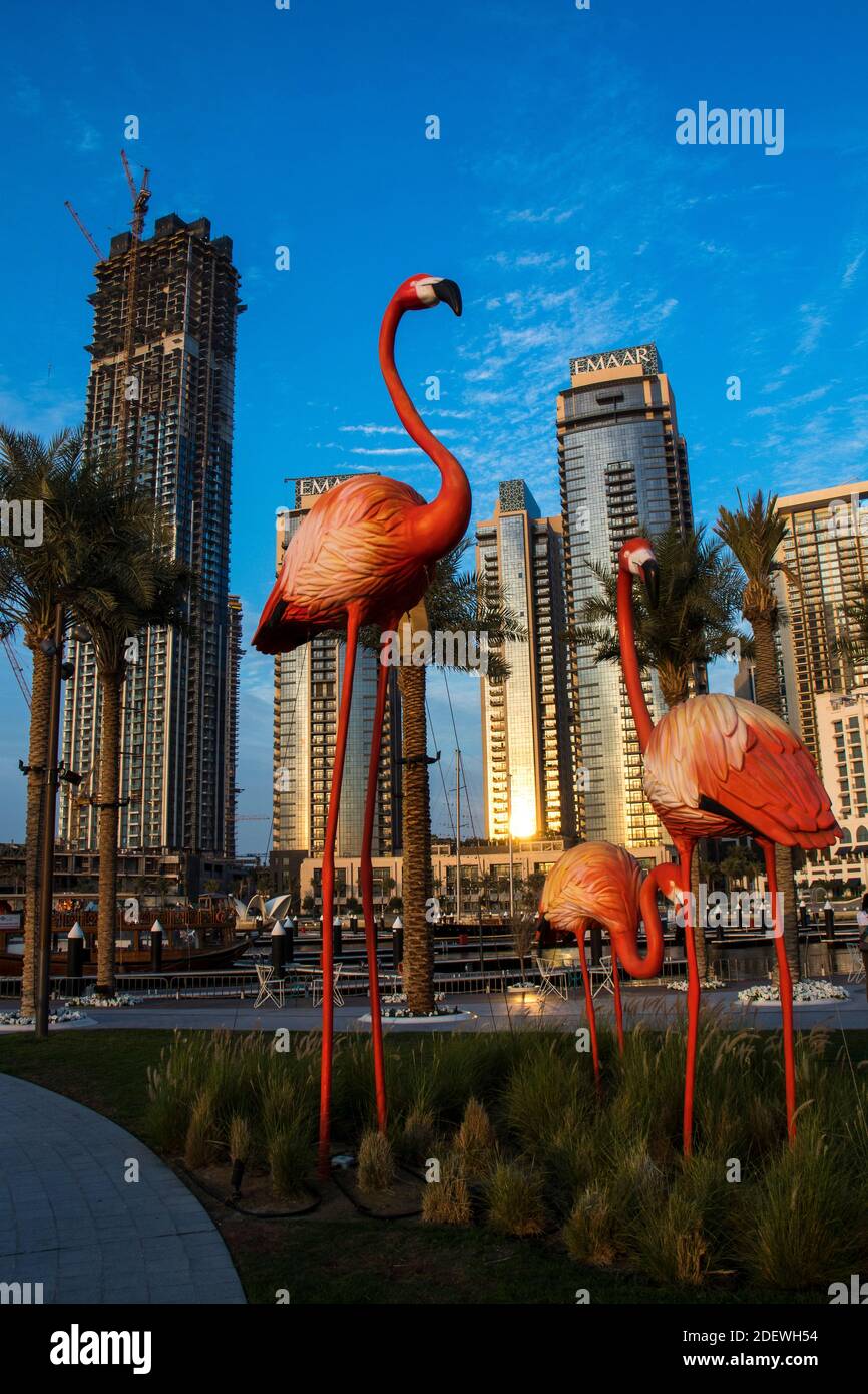 Dubai creek flamingo hi-res stock photography and images - Alamy