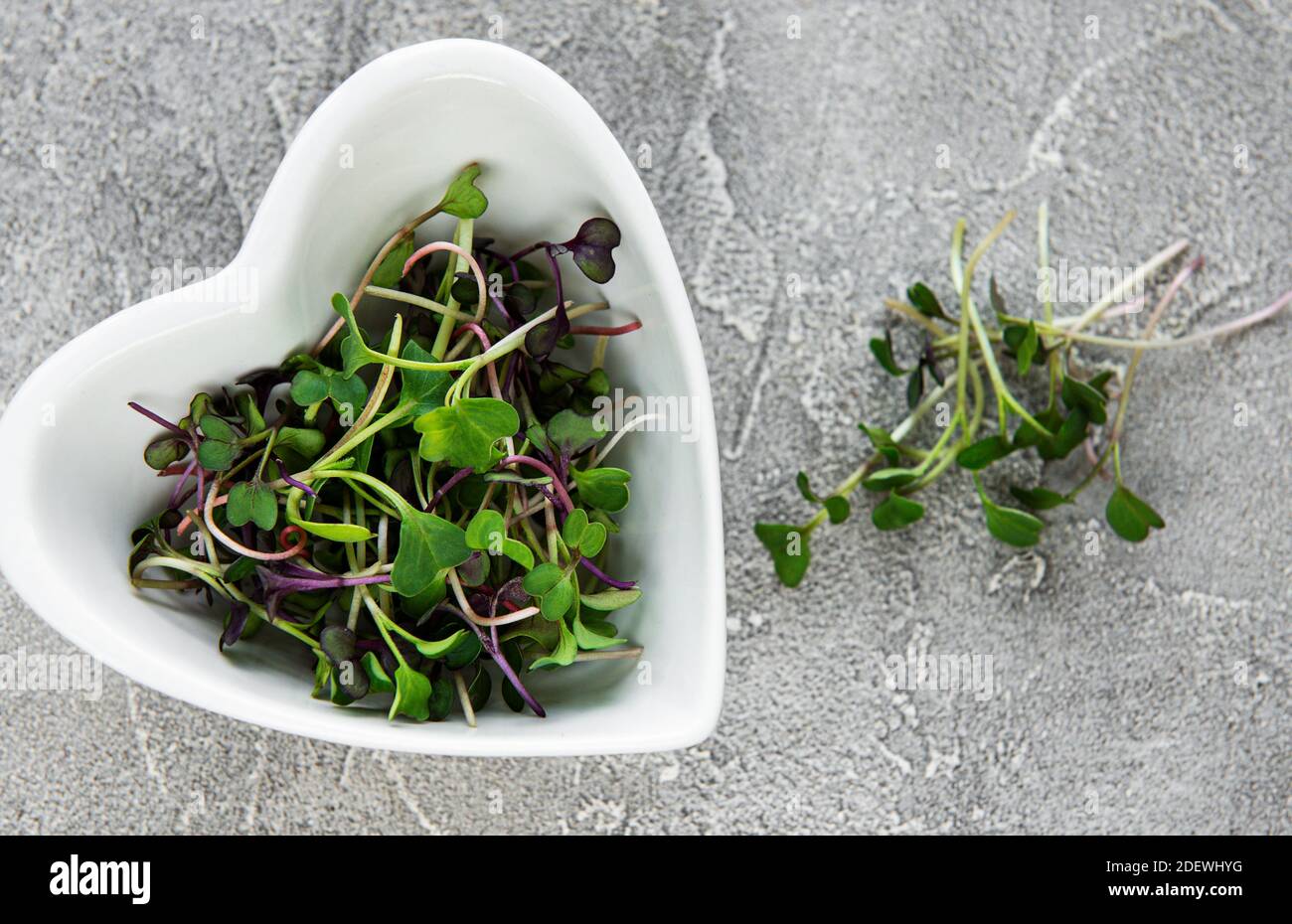 Red radish microgreens on a concrete table, healthy concept Stock Photo ...