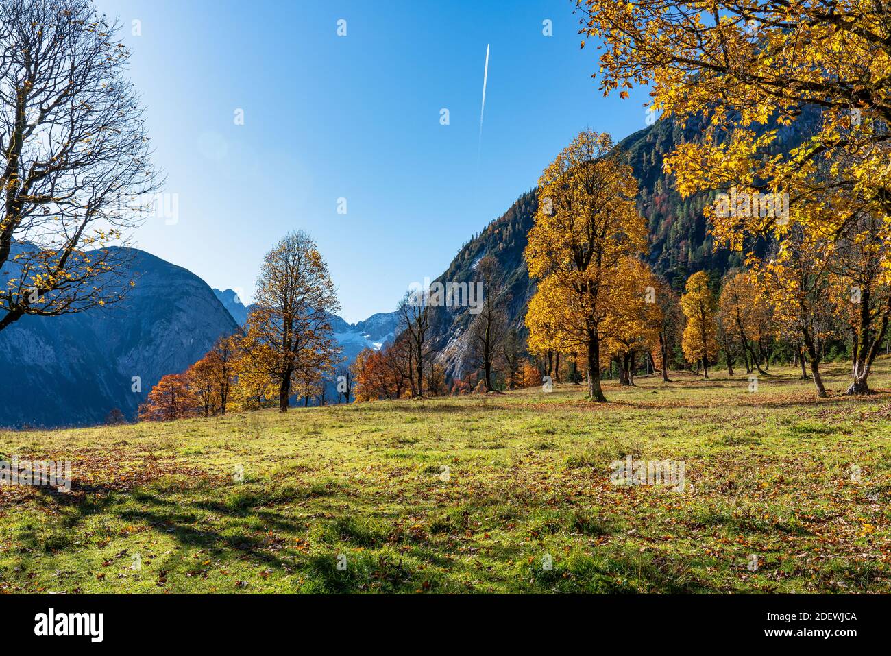 Autumn View Of The Maple Trees At Ahornboden Karwendel Mountains