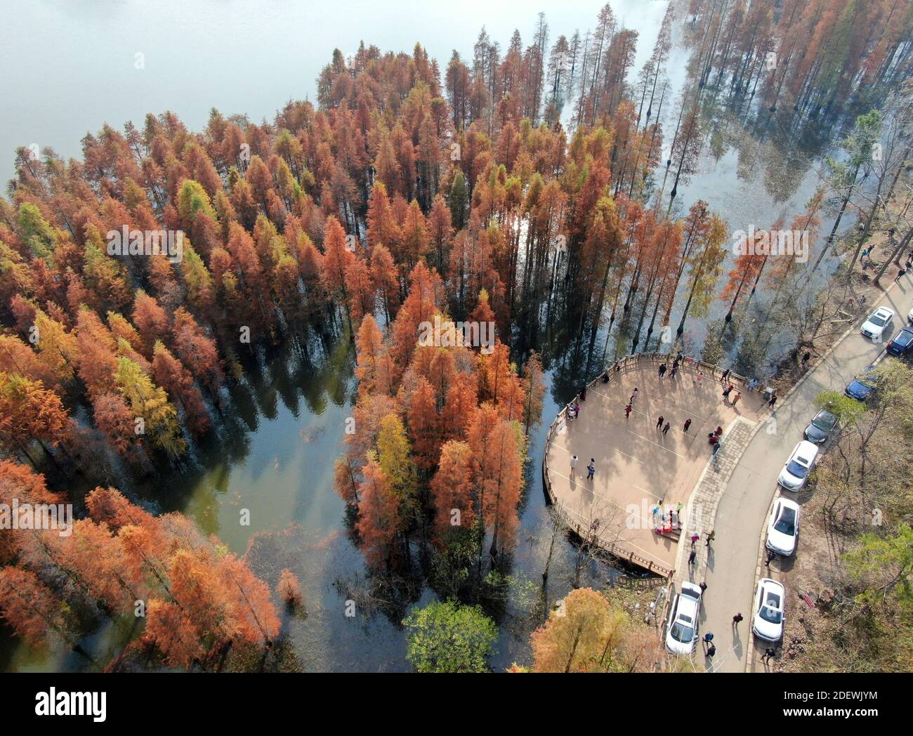 Zhima credit hi-res stock photography and images - Alamy