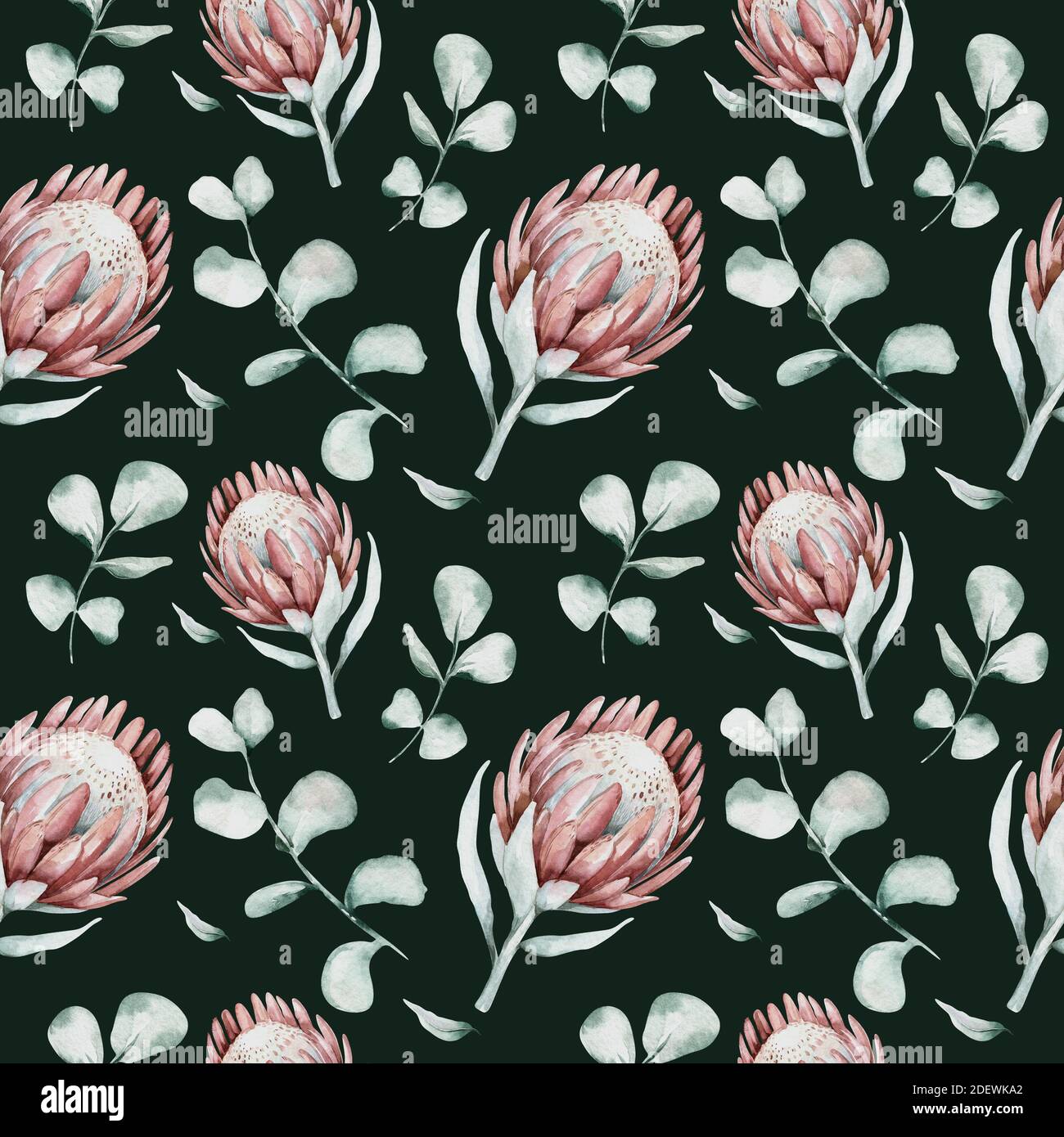 Protea seamless pattern flower. watercolor tropical leaves, hand ...