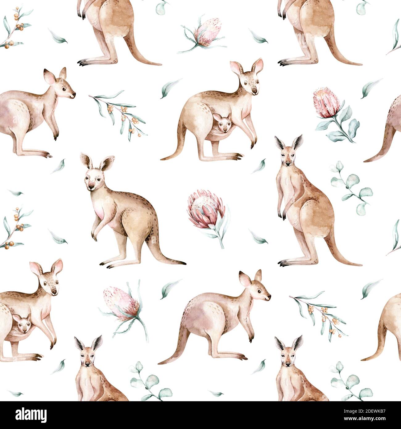 Illustration kangaroo Cut Out Stock Images & Pictures - Alamy