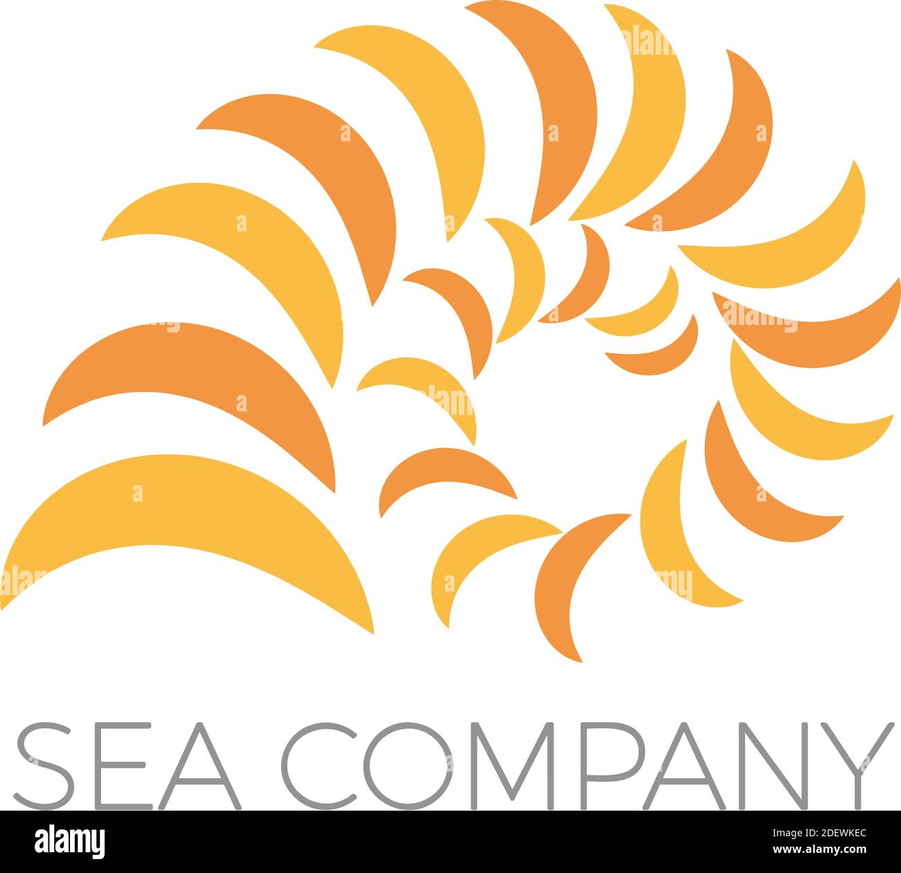 Vector seashell in abstract shape Stock Vector Image & Art - Alamy