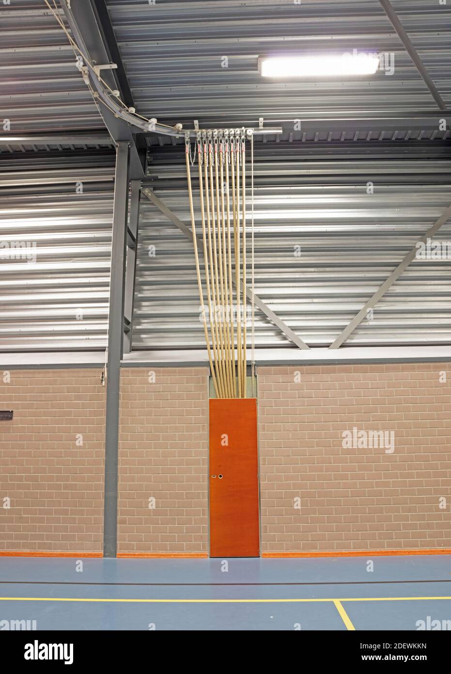 Climbing ropes in a school gym, empty gym Stock Photo - Alamy