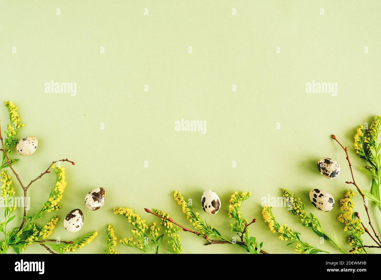 Spring easter floral border hi-res stock photography and images - Alamy