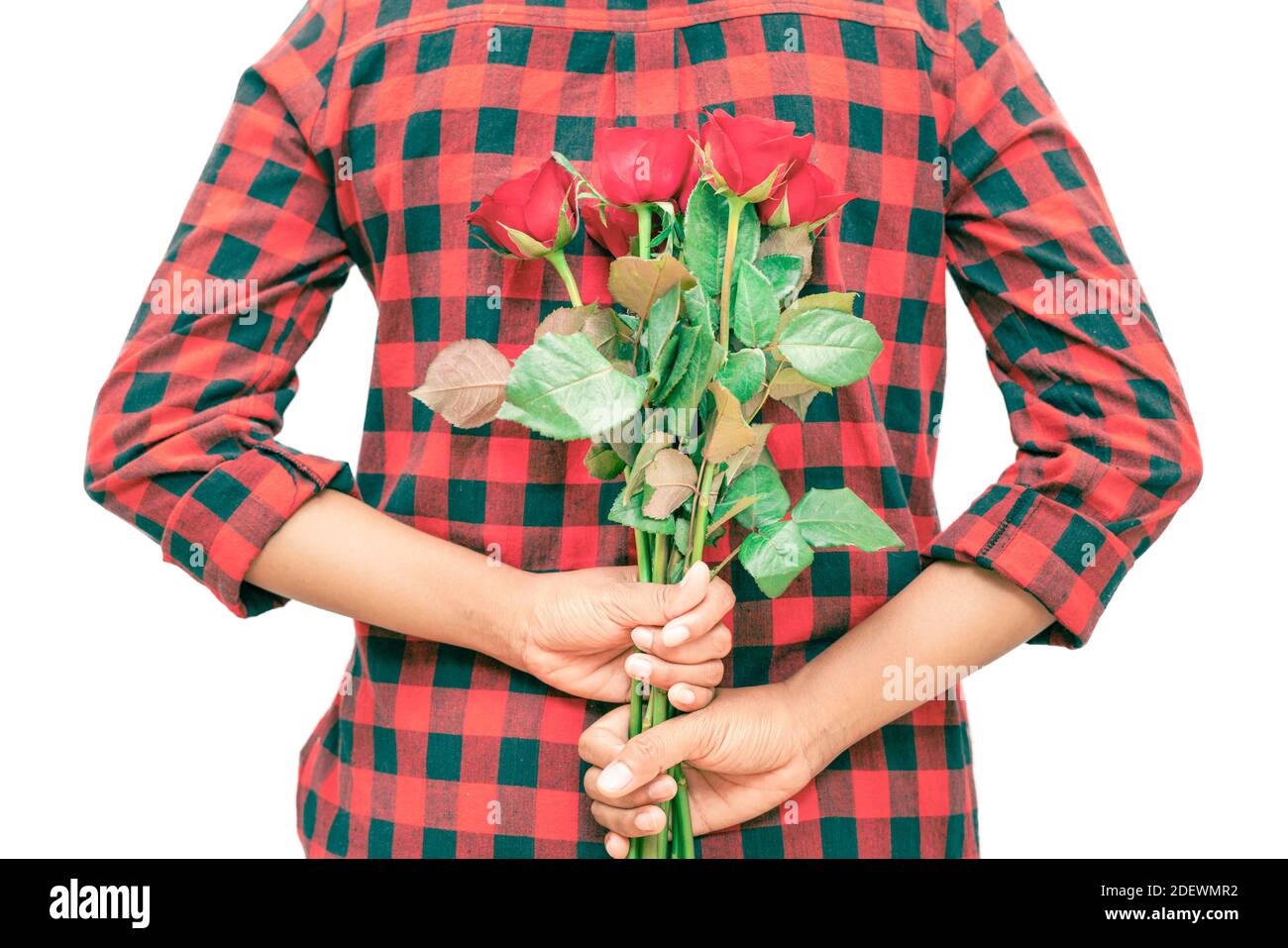 Hidden rose hi-res stock photography and images - Alamy