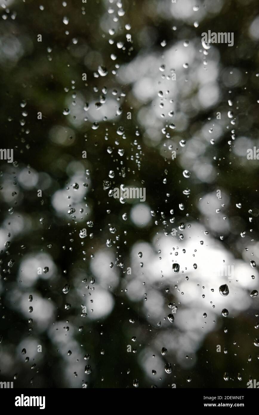 A vertical shot of the blurred trees behind a window covered in ...