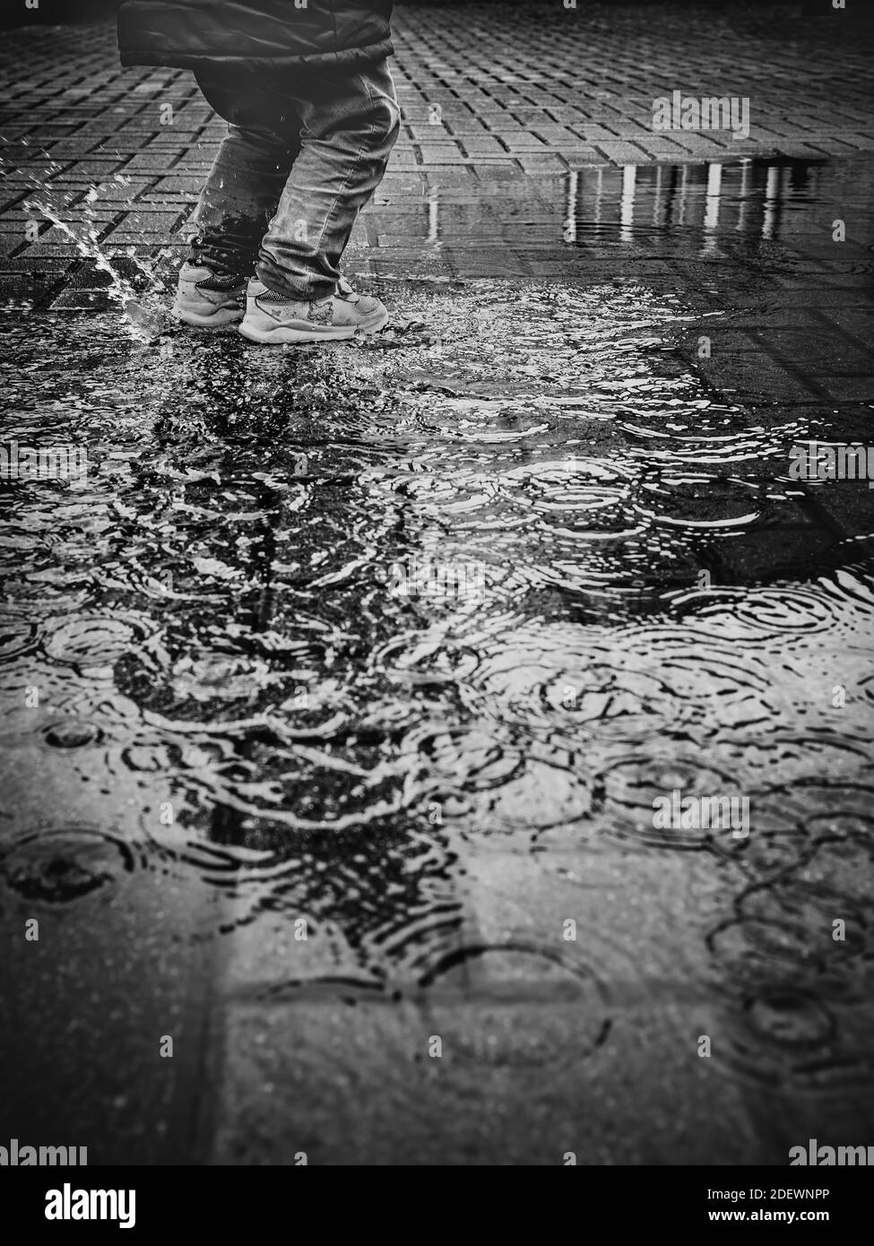 Rain In Puddle Black And White
