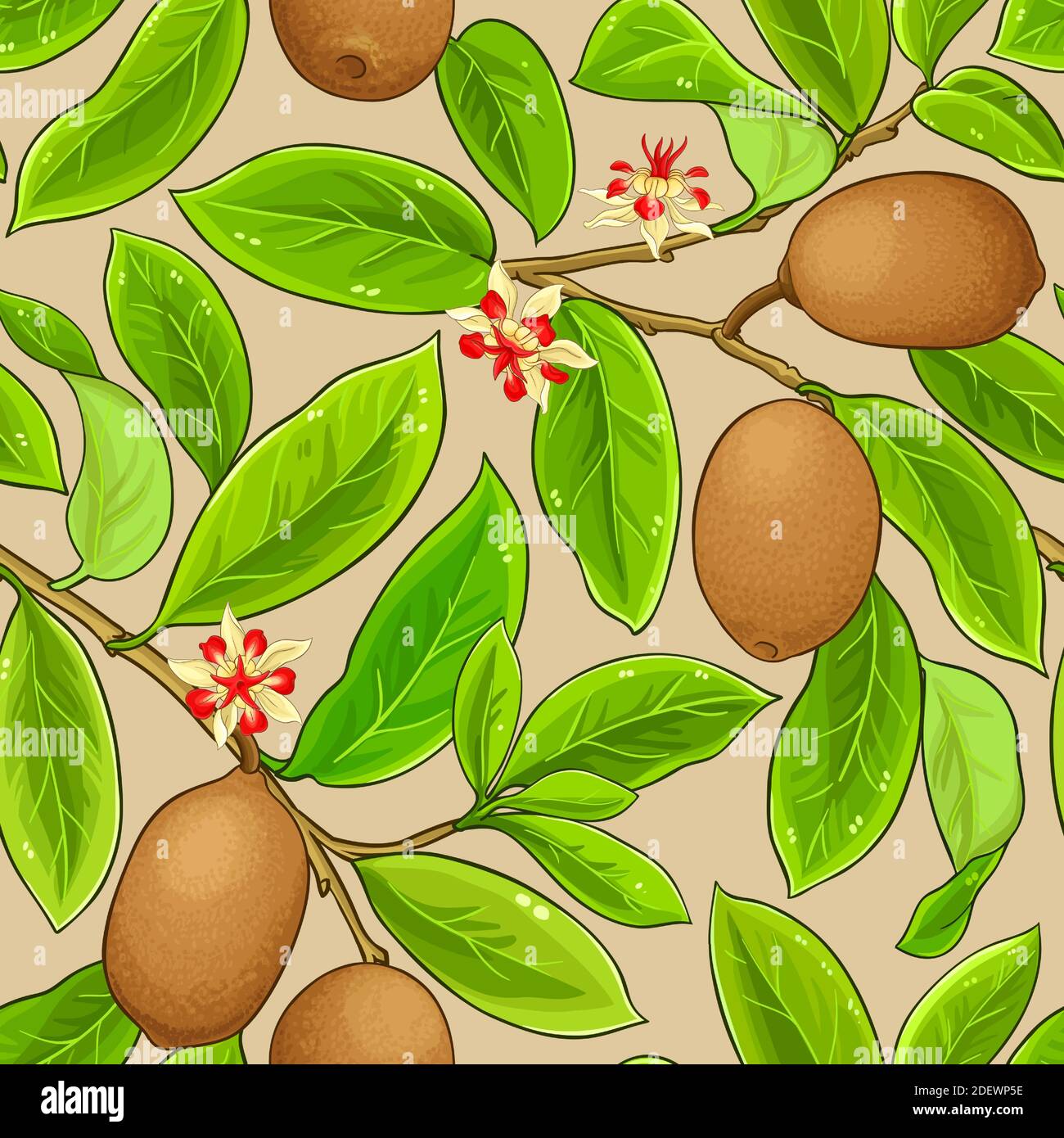 Cupuacu hi-res stock photography and images - Alamy